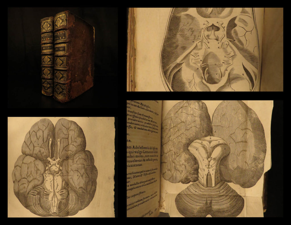 1681 Thomas Willis NEUROLOGY Cerebri Anatome Brain Anatomy Nerves ...